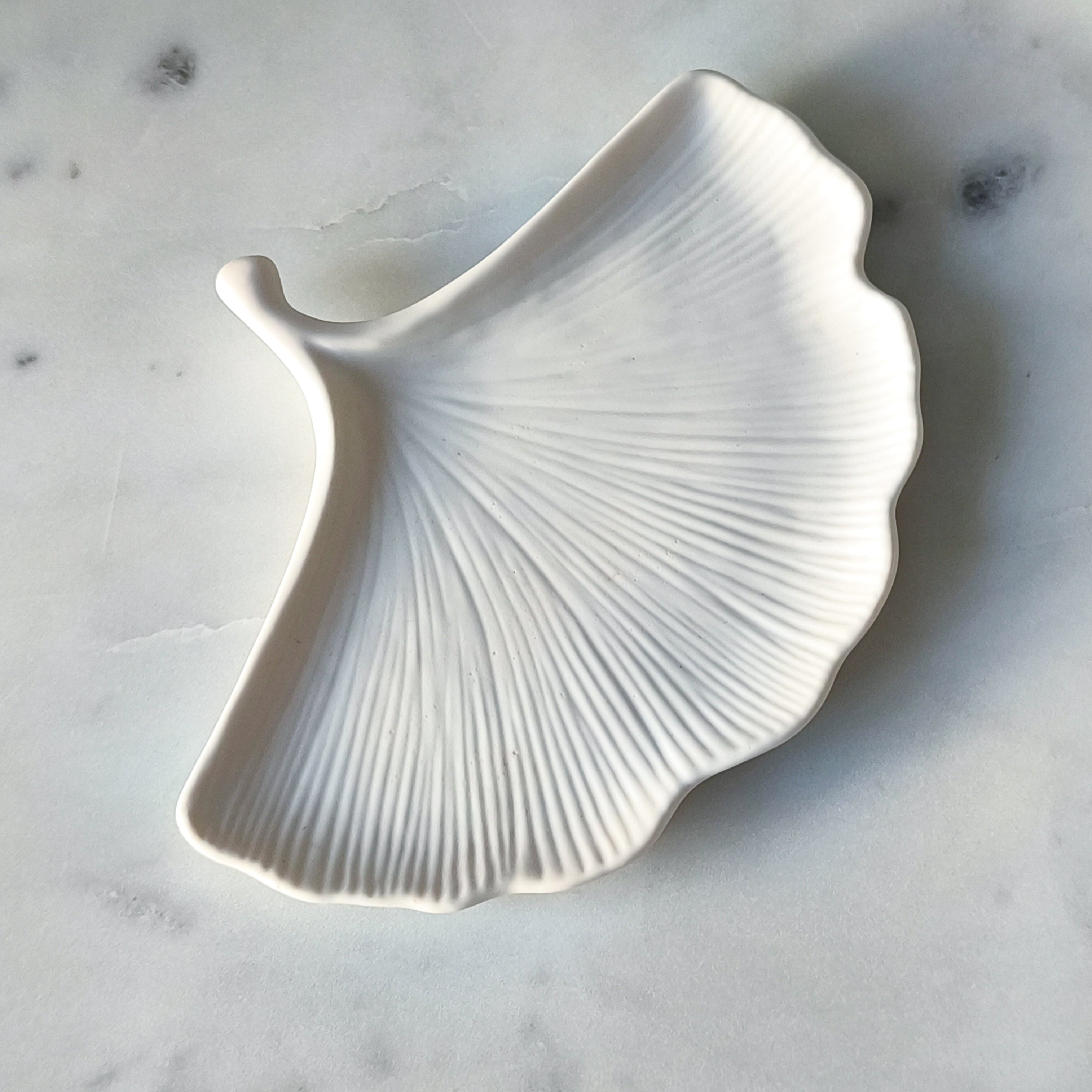 Ginkgo Leaf Tray – Exploding Senses
